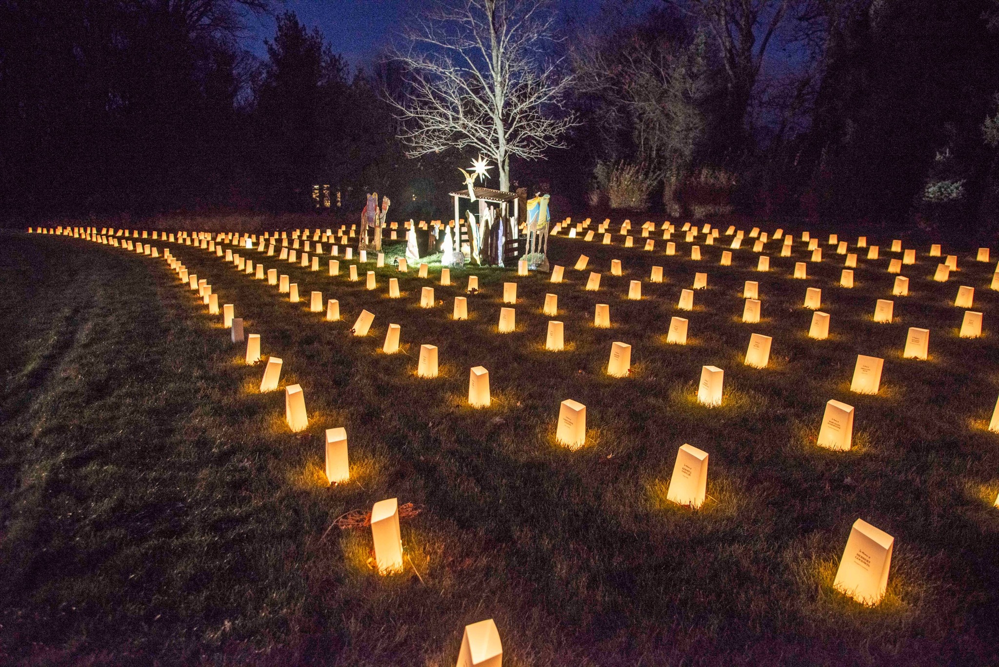 Illuminate the campus - Fellowship Community